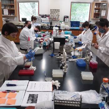 New Mexico Tech Biology Students See Their Research Published: New ...